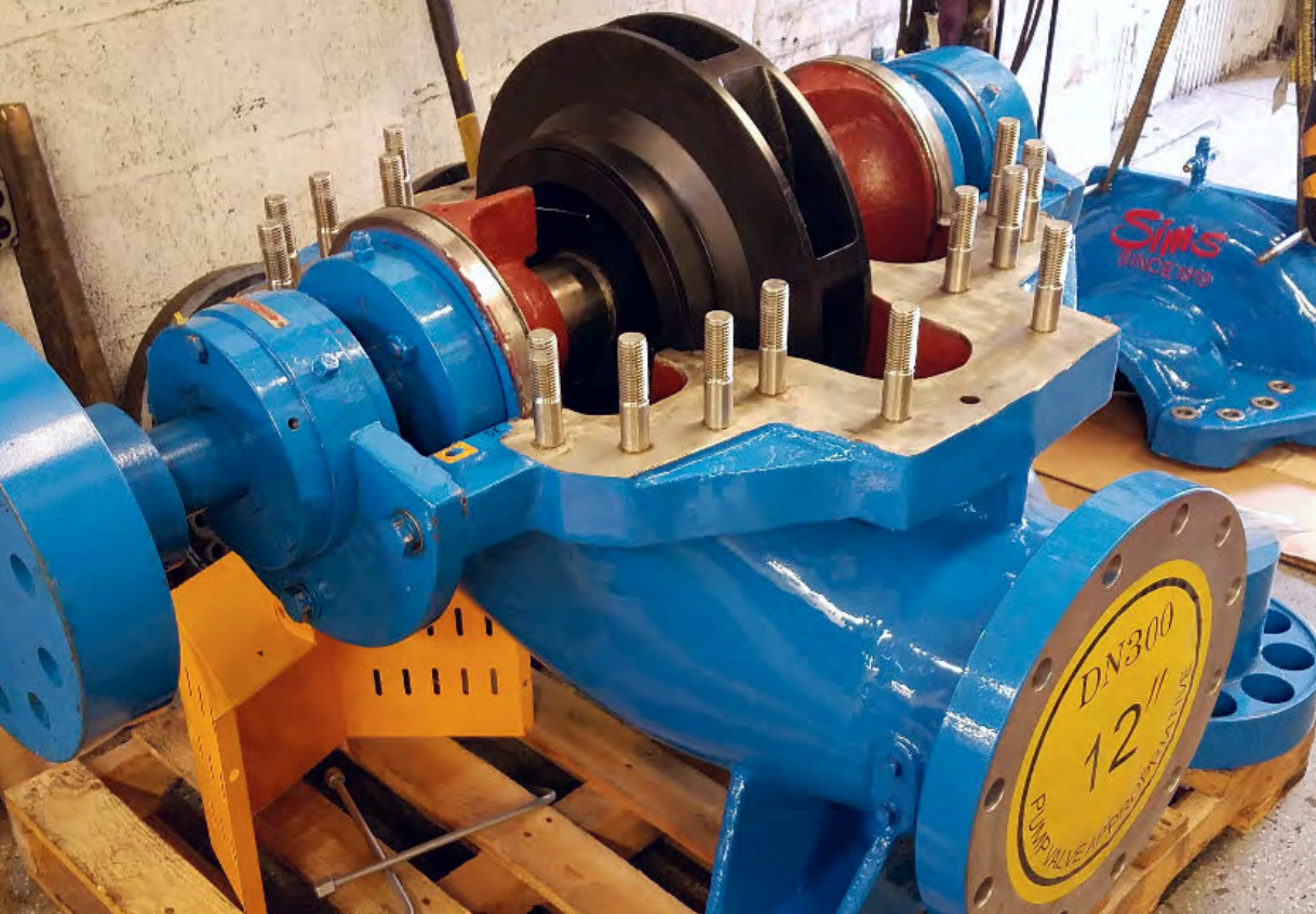 What are the Best Pumps to Purchase? - www.simsite.com